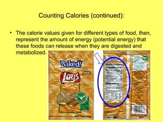 Energy transformations lab | PPT | Nutrition | Healthy Living