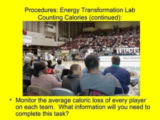 Energy transformations lab | PPT | Nutrition | Healthy Living