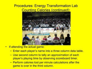Energy transformations lab | PPT | Nutrition | Healthy Living