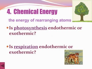 Energy types notes 2010 | PPTX | Physics | Science
