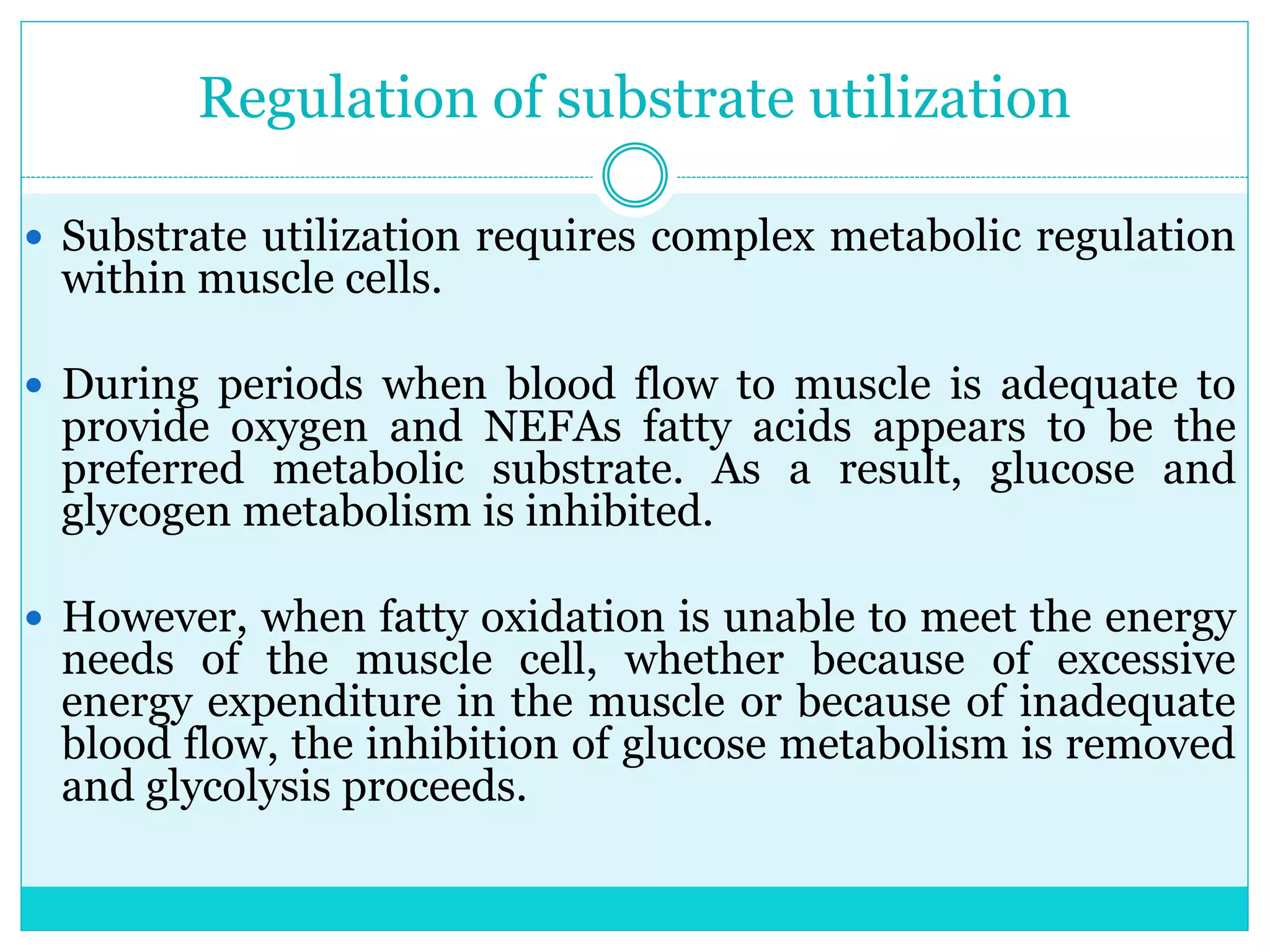 Energy utilization and requirement of muscle during work | PPTX