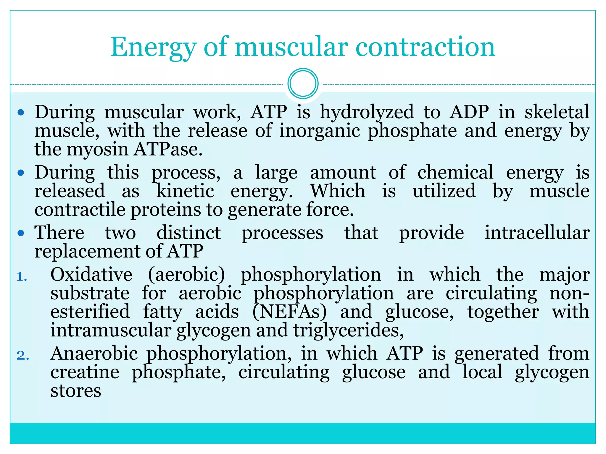 Energy utilization and requirement of muscle during work | PPTX
