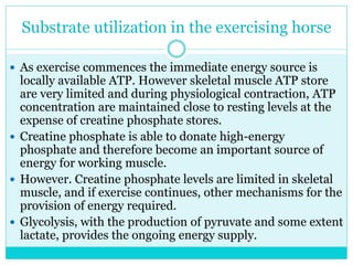 Energy utilization and requirement of muscle during work | PPTX