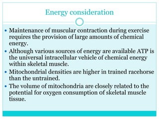 Energy utilization and requirement of muscle during work | PPTX