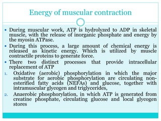 Energy utilization and requirement of muscle during work | PPTX