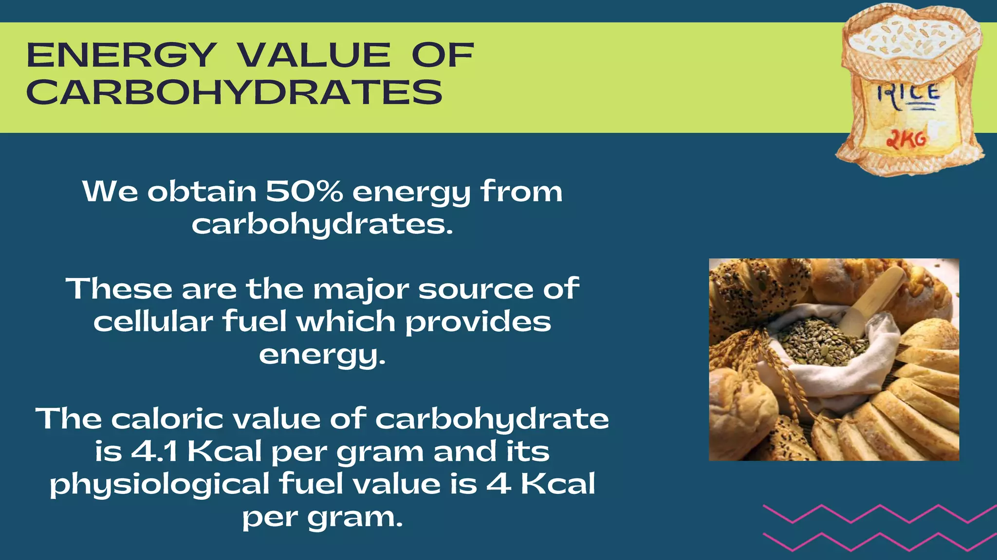 ENERGY VALUE OF CARBS, PROTEIN, FATS | PPTX
