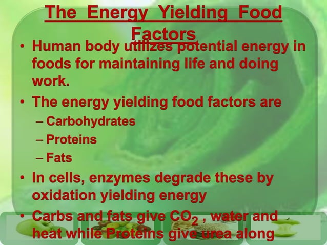 energy__value__of__foods.pptx