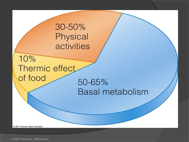 Energy values of foods | PPT