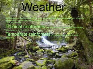 Eneritz rainforests | PDF