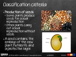 Plants Classification - Biology and Geology 1st CSE - Spain | PDF