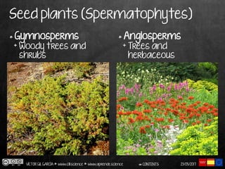 Plants Classification - Biology and Geology 1st CSE - Spain | PDF