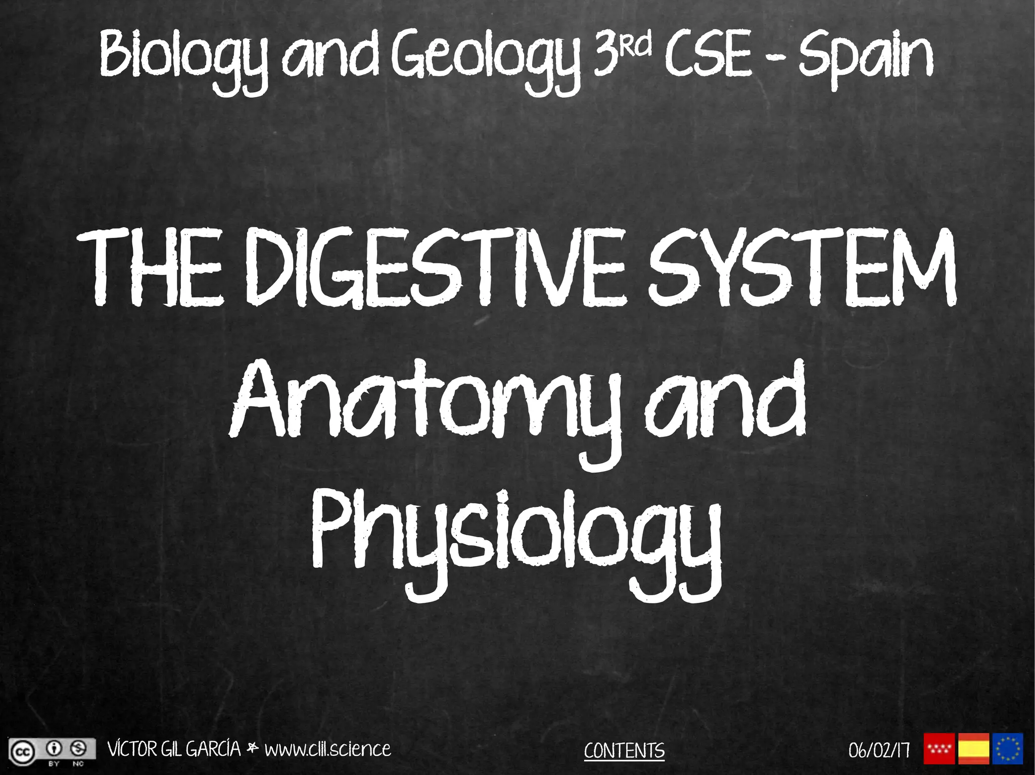 The Digestive System - Anatomy and Physiology - Biology and Geology 3rd CSE - Spain | PDF
