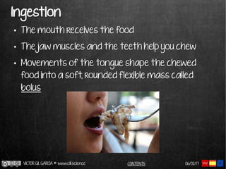 The Digestive System - Anatomy and Physiology - Biology and Geology 3rd ...