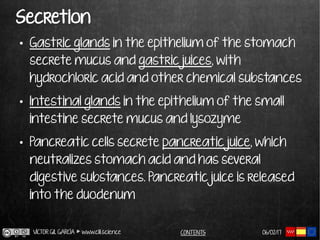 The Digestive System - Anatomy and Physiology - Biology and Geology 3rd ...