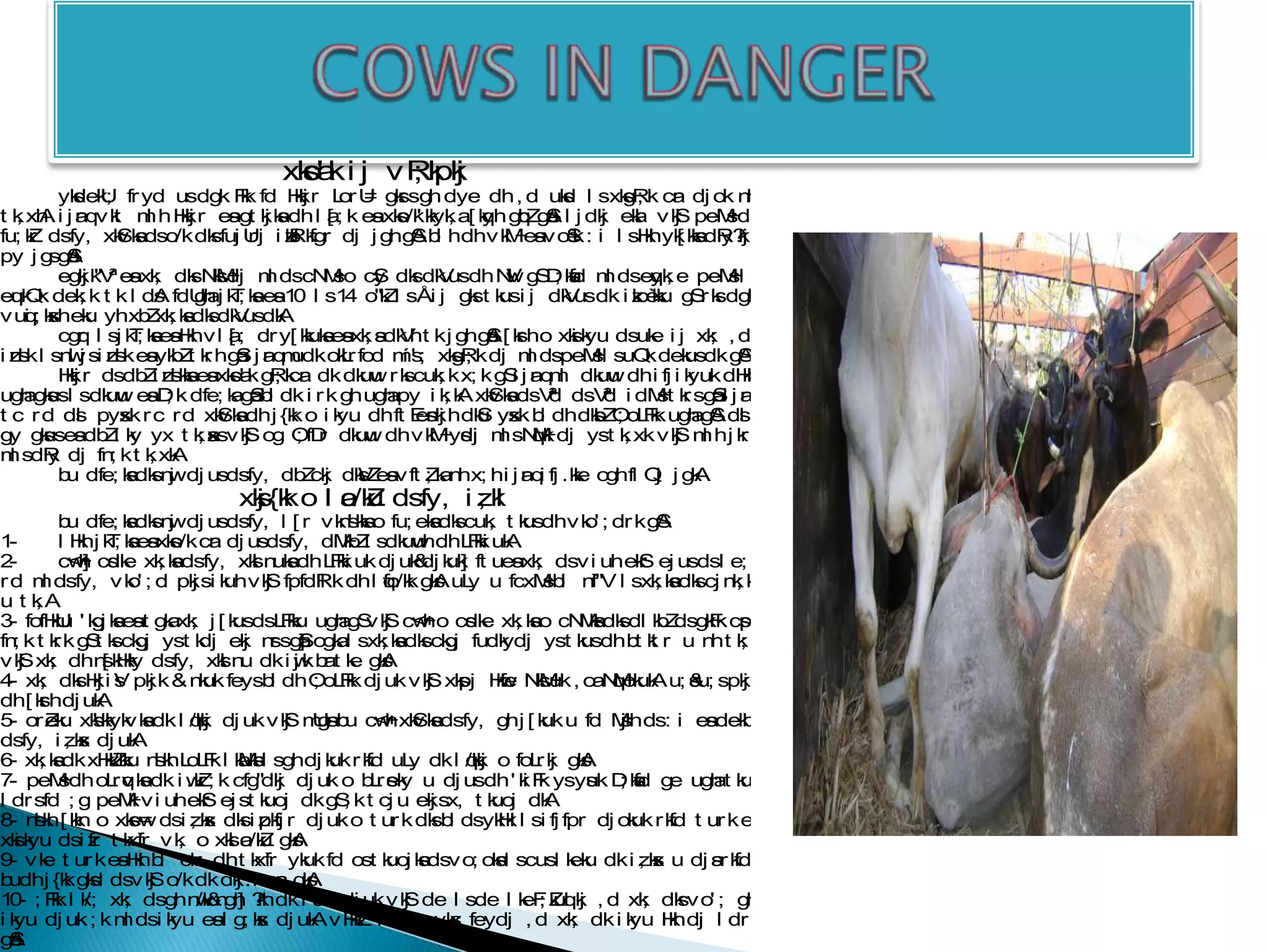 Cow Protect Slideshare | PPTX