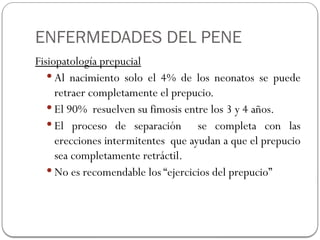 enfermedad de los genitales externos urología | PPTX