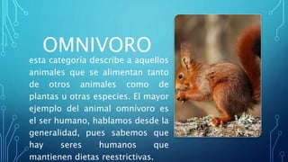 ENFASIS EN LAS FUNCIONES DE LA NUTRICION.pptx