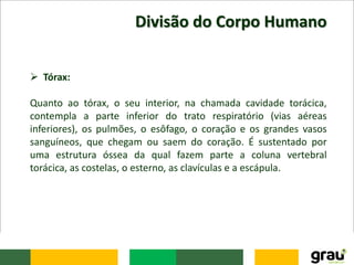 ENFERMAGEM - MÓDULO I - ANATOMIA E FISIOLOGIA revisada.pptx