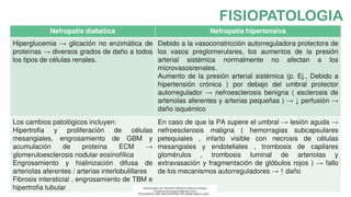 enfermedad-renal-cro-199592-downloadable-246306.pdf