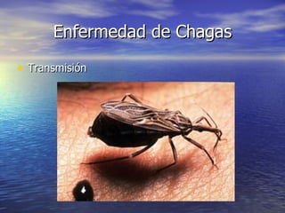 ENFERMEDAD DE CHAGAS | PPT