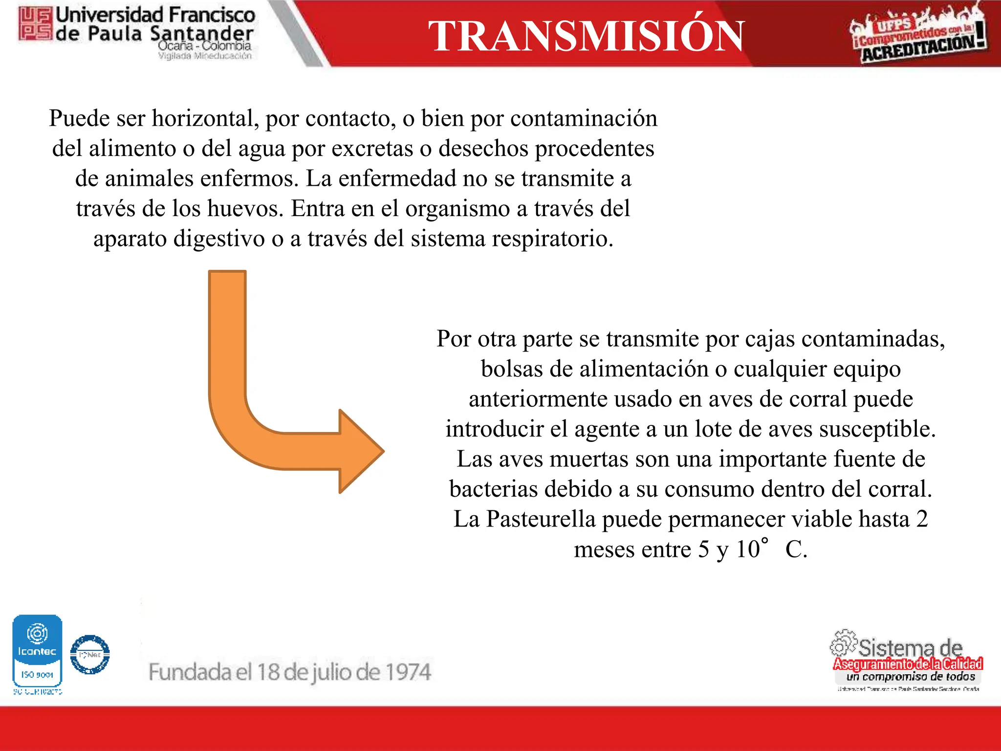 Enfermedades bacterianas ENFERMEDAD Colera Aviar.pptx