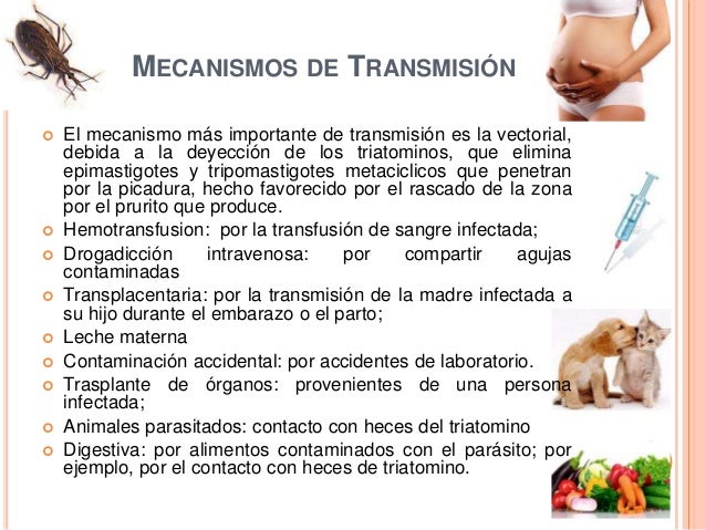 Enfermedad de chagas