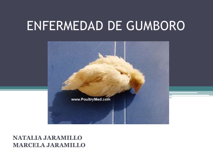 Enfermedad de gumboro