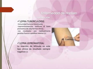 Enfermedad de hansen (lepra) | PDF