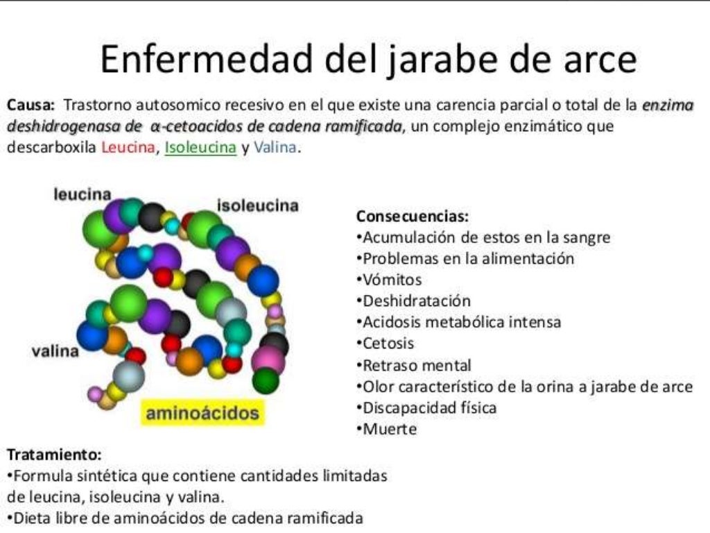 Enfermedad de la orina con olor a Jarabe de Arce(MSUD) o Leucinosis