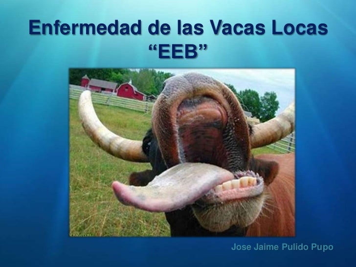 Enfermedad De Las Vacas Locas