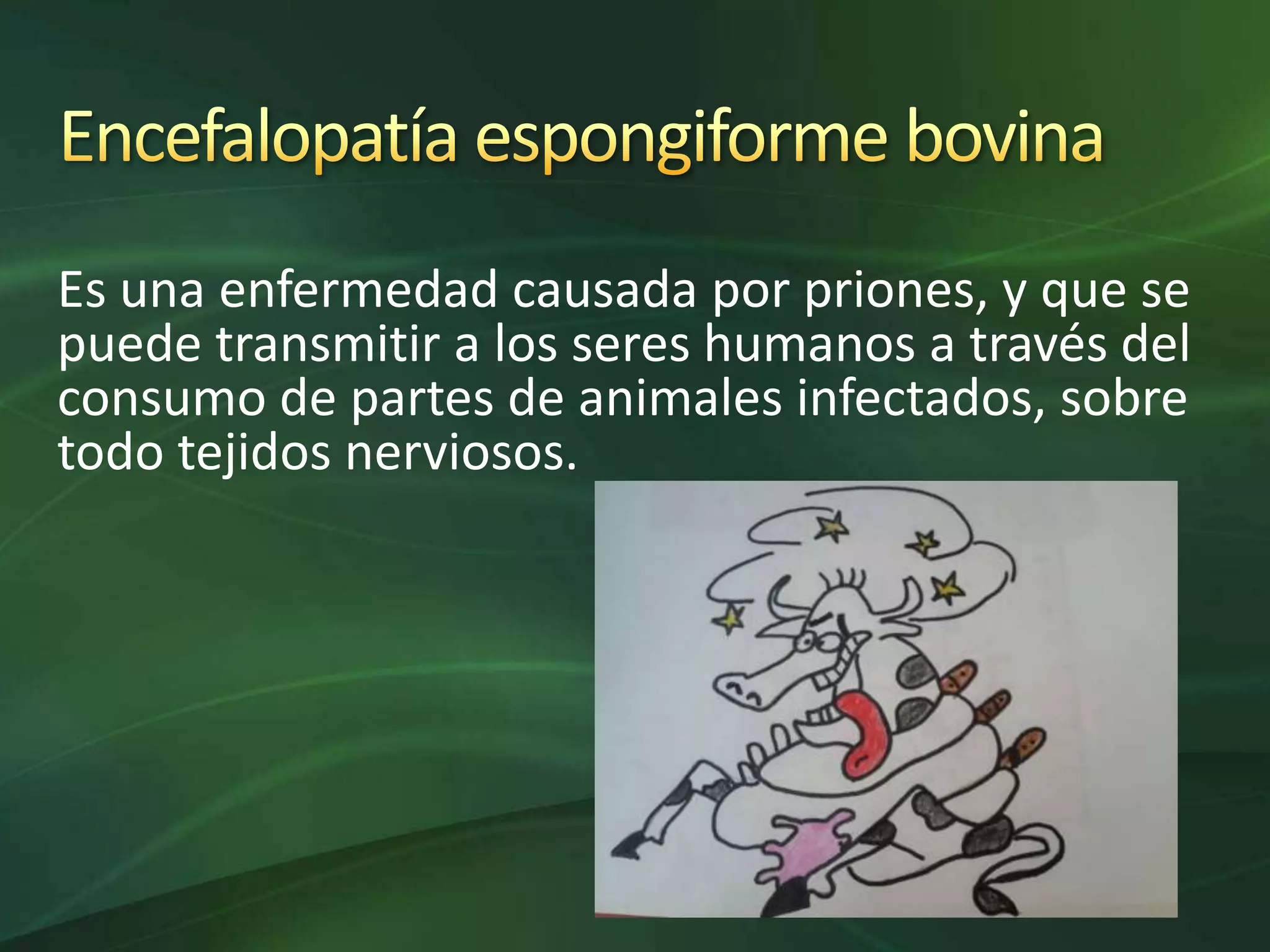 Enfermedad de las Vacas Locas (Encefalopatía Espongiforme Bovina) | PPTX