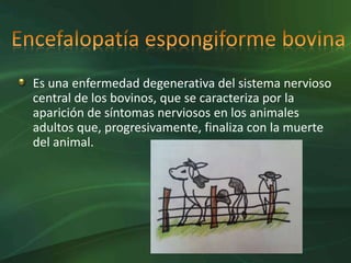 Enfermedad de las Vacas Locas (Encefalopatía Espongiforme Bovina) | PPTX