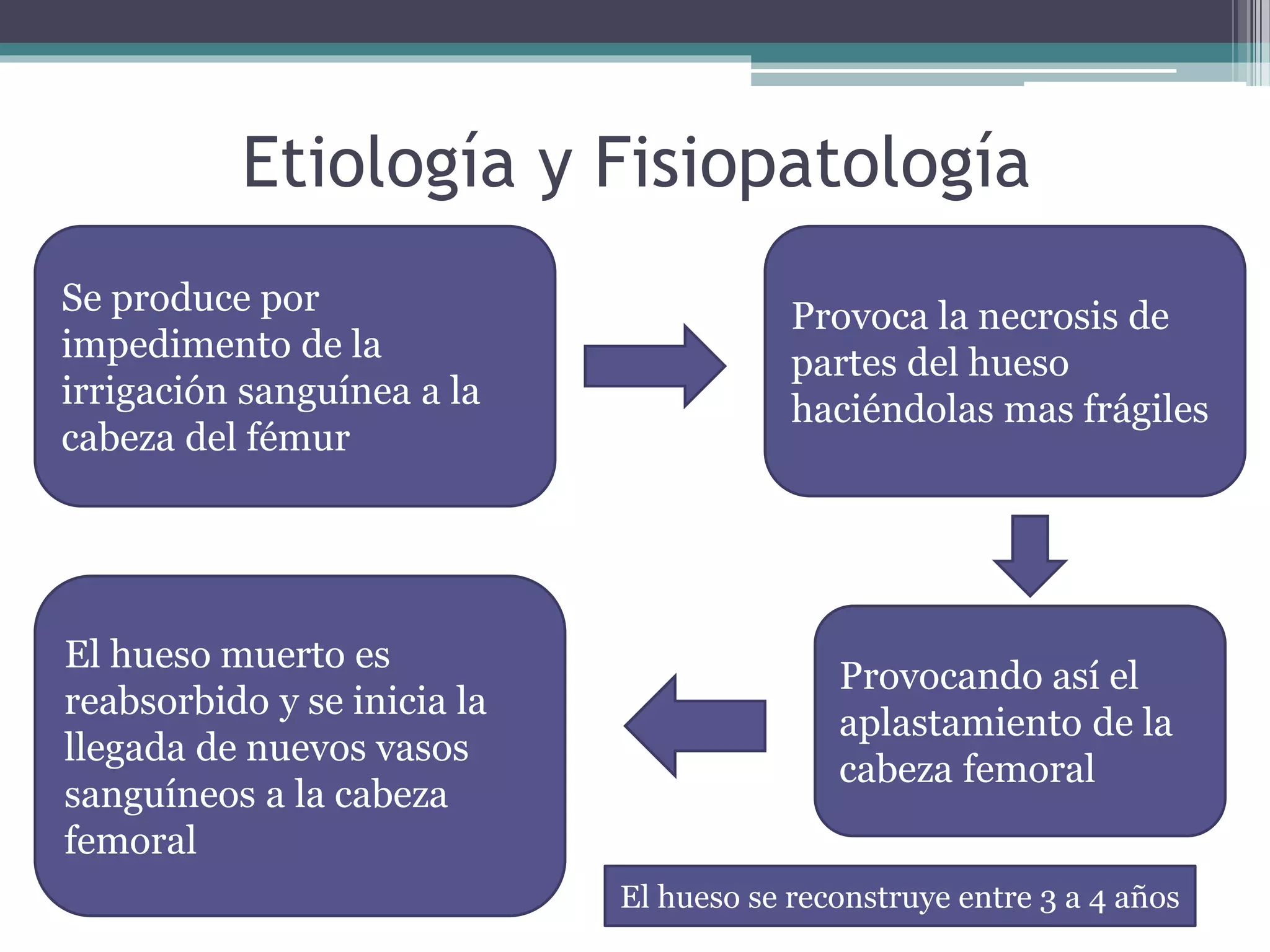 Enfermedad de legg calve-perthes - imagen | PPT