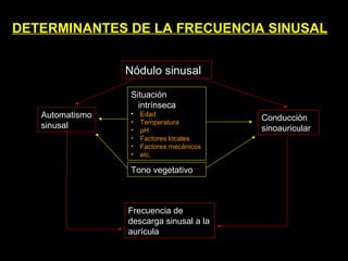Enfermedad del nodo sinusal enfermo (snse) | PPT
