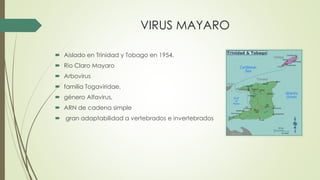 Fiebre Mayaro Actualización | PPTX