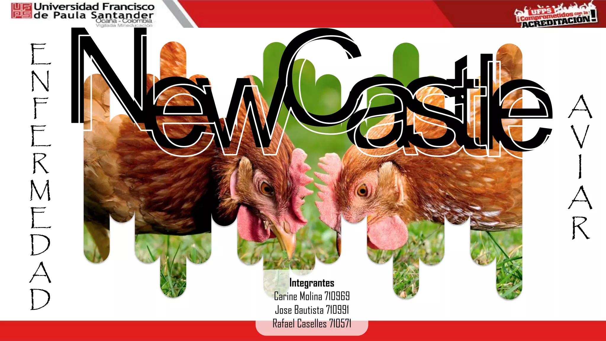 Enfermedad de Newcastle.pdf
