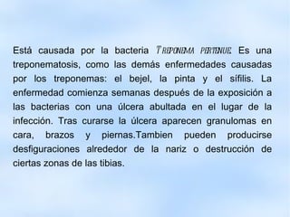 Enfermedad de pian | PPT