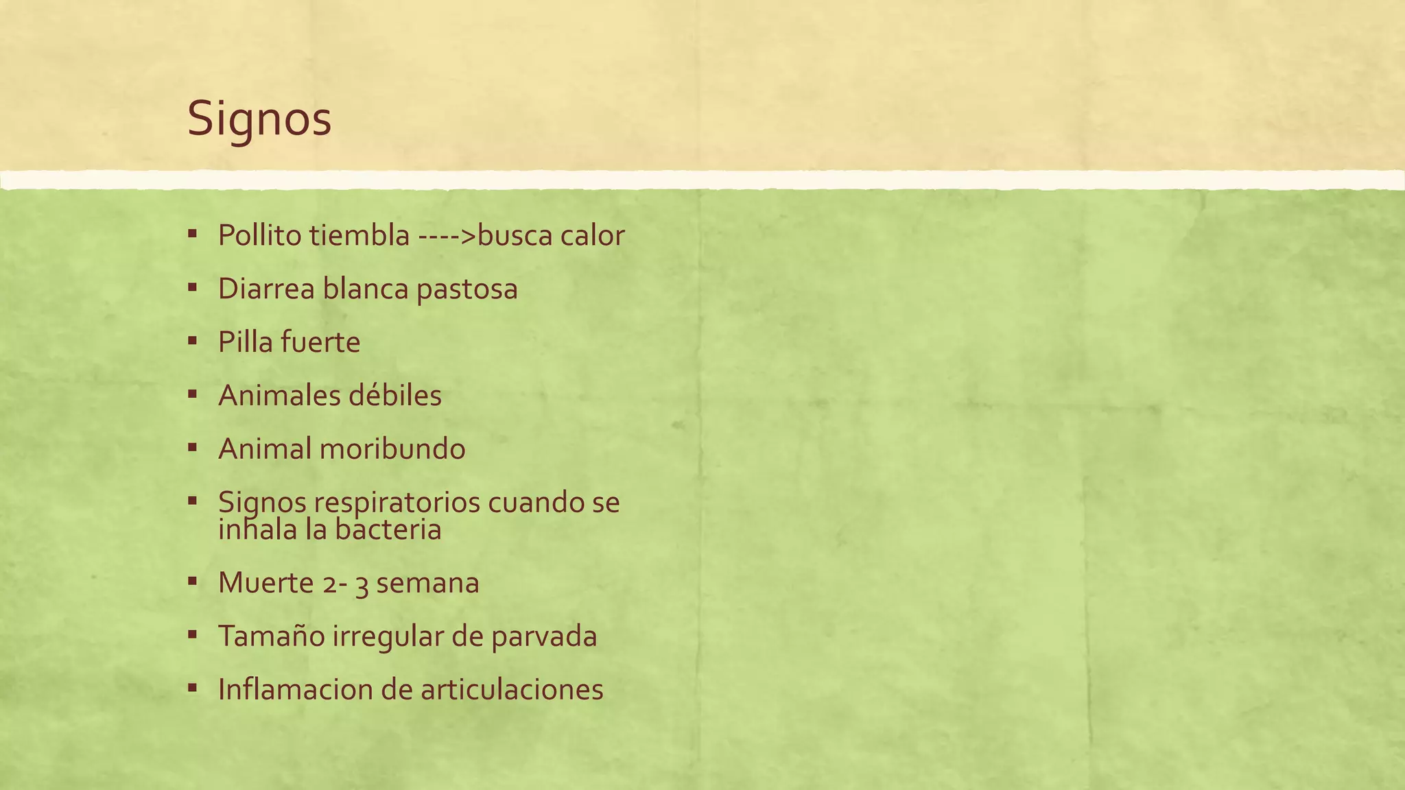 Enfermedad de pullorum | PPT