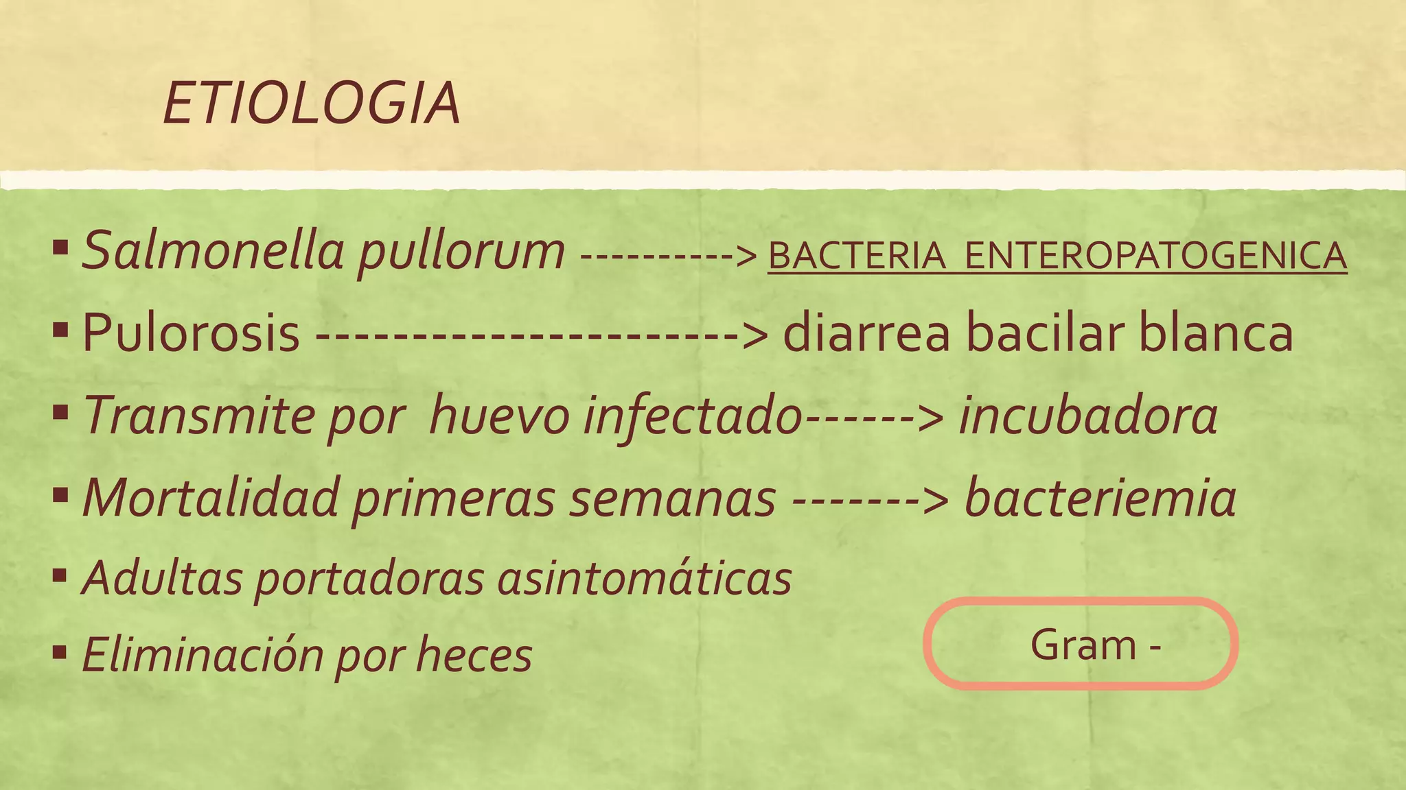 Enfermedad de pullorum | PPT