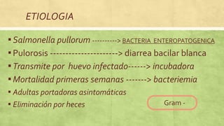 Enfermedad de pullorum | PPTX