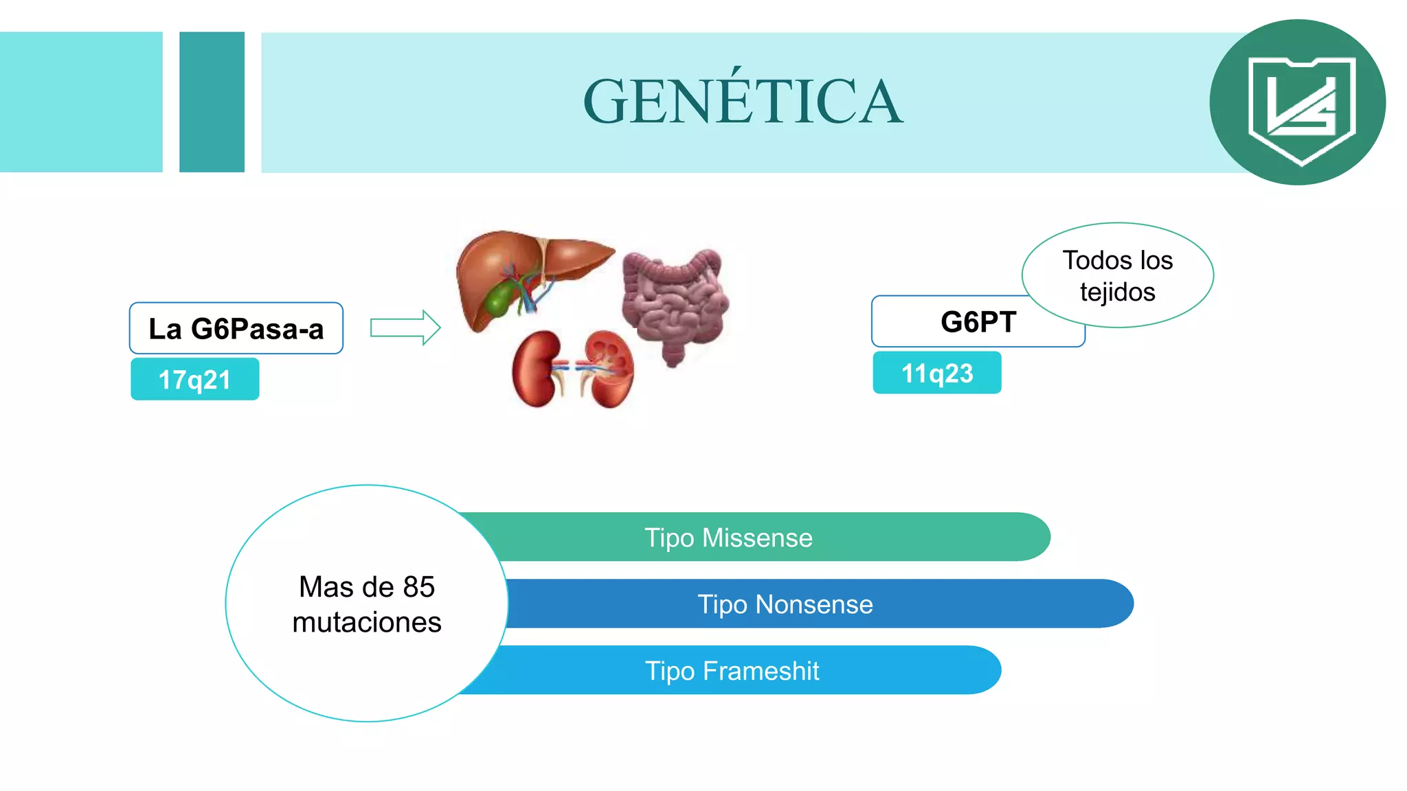 Enfermedad de Von Gierke | PPTX | Diabetes | Diseases and Conditions