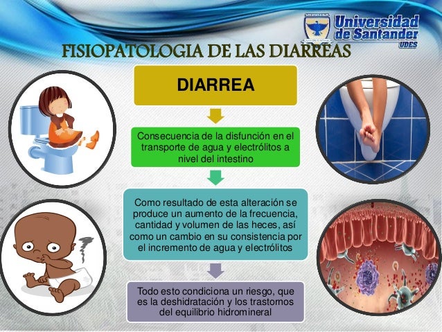 Enfermedad diarreica