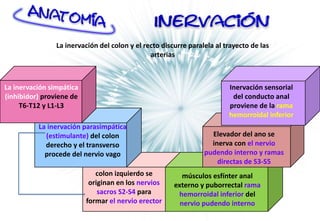 Enfermedad diverticular de colon | PPTX