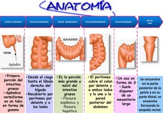 Enfermedad diverticular de colon | PPTX