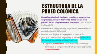 Enfermedad diverticular del colon | PPTX