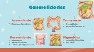 Enfermedad Diverticular del Colon.pptx