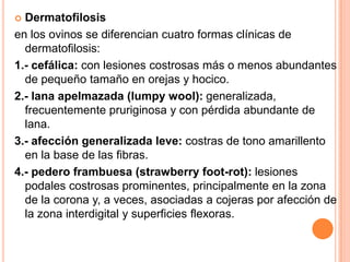 Enfermedades | PPT