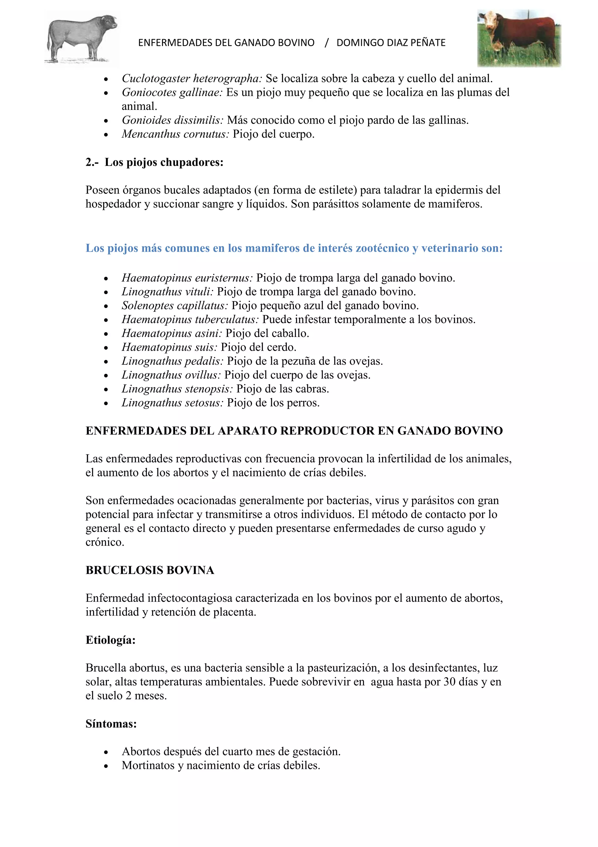 Enfermedades del-ganado-bovino | PDF