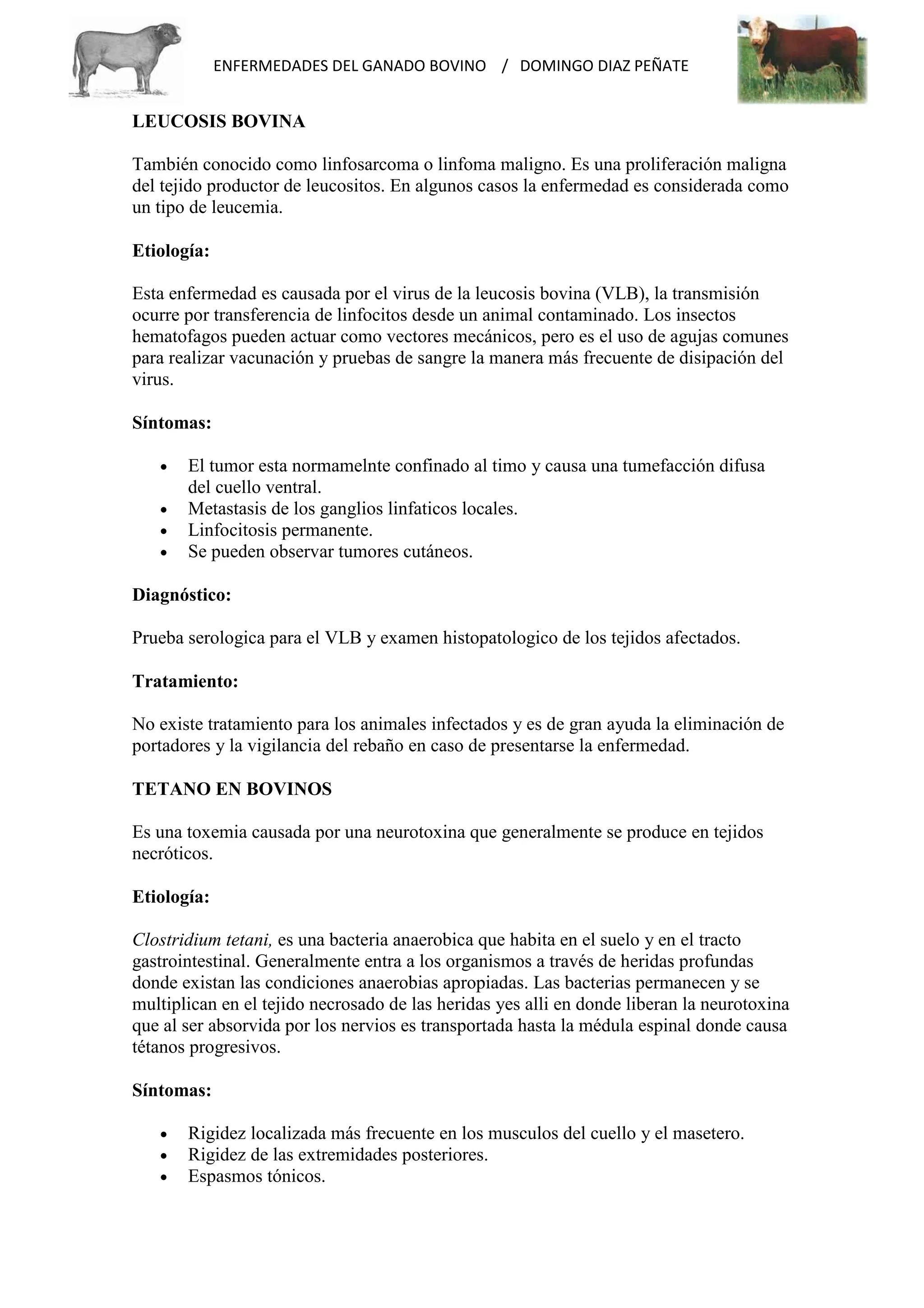 Enfermedades del-ganado-bovino | PDF