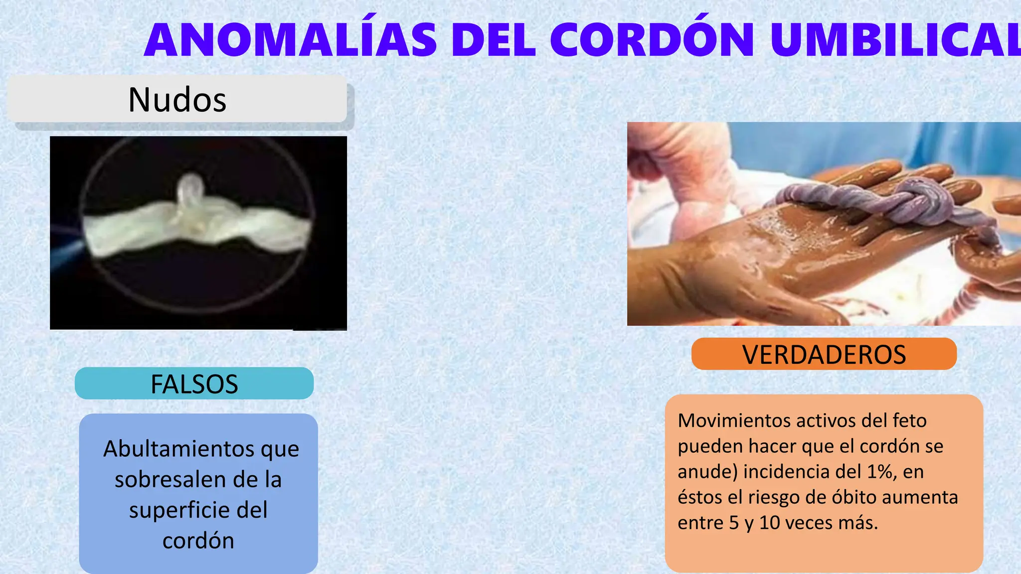 enfermedades-y-anomalias-de-la-placenta-cordon-umbilical-y-la-en ...